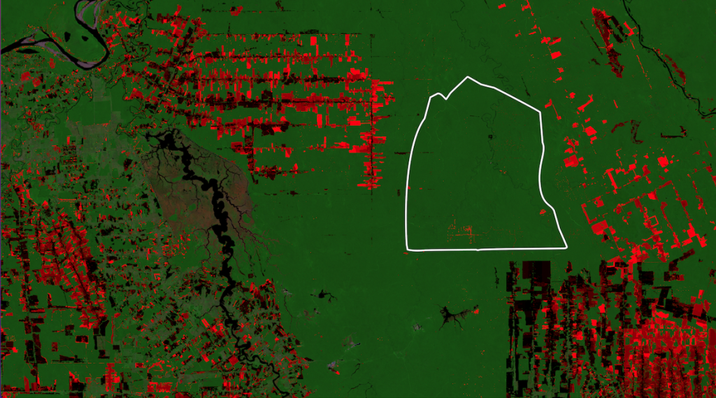 Pachama%20Baselines.png - FM College
